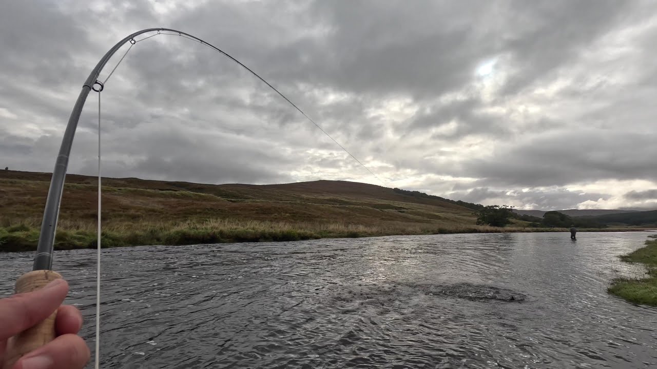 Back-End Spate River Salmon Fishing (September 2023) - YouTube