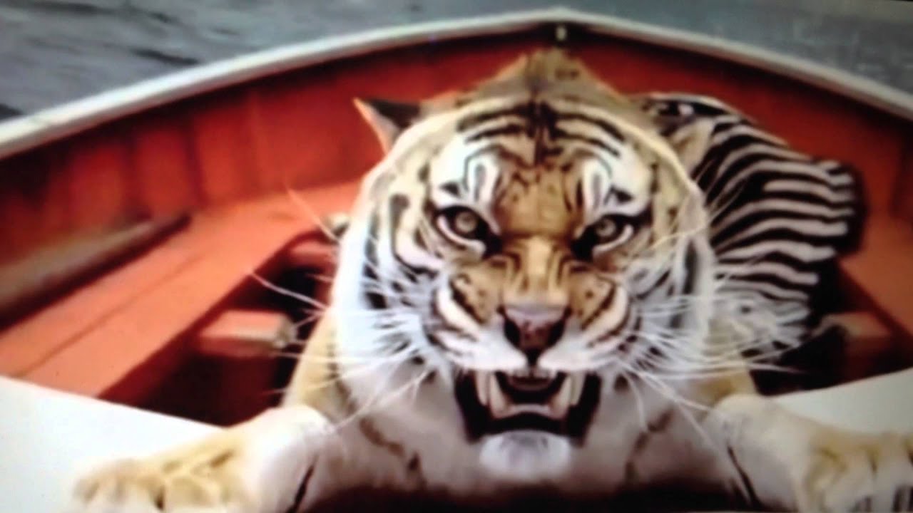 life of pi rat scene - YouTube
