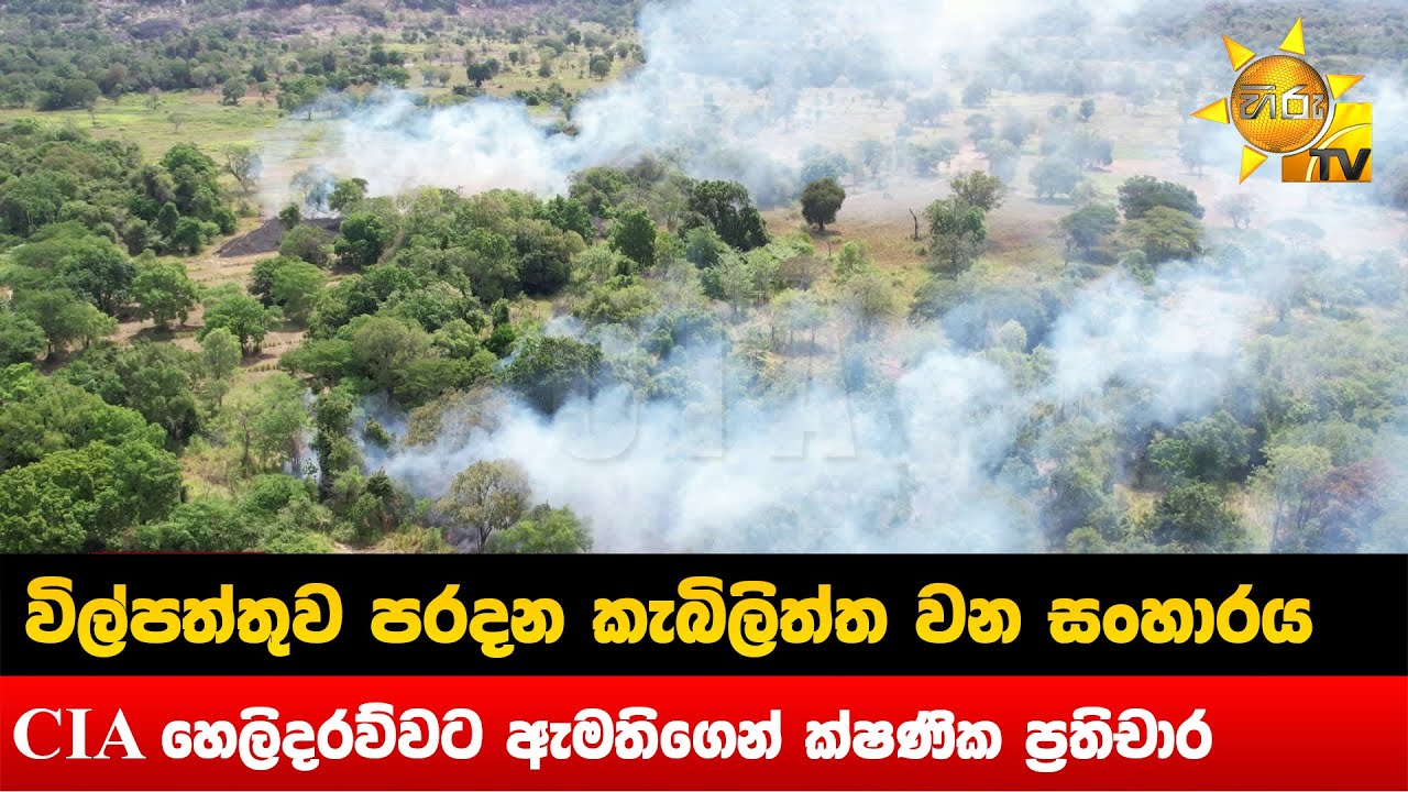 විල්පත්තුව පරදන කැබිලිත්ත වන සංහාරය - CIA හෙලිදරව්වට ඇමතිගෙන් ක්ෂණික ප් ...