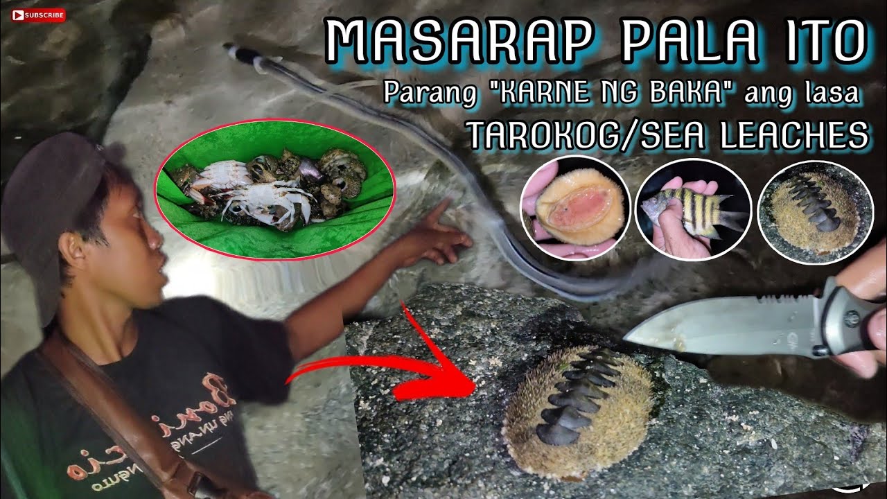 Pangingilaw ng Damuko at Tarukog sa gabi / Buhay probinsya - YouTube