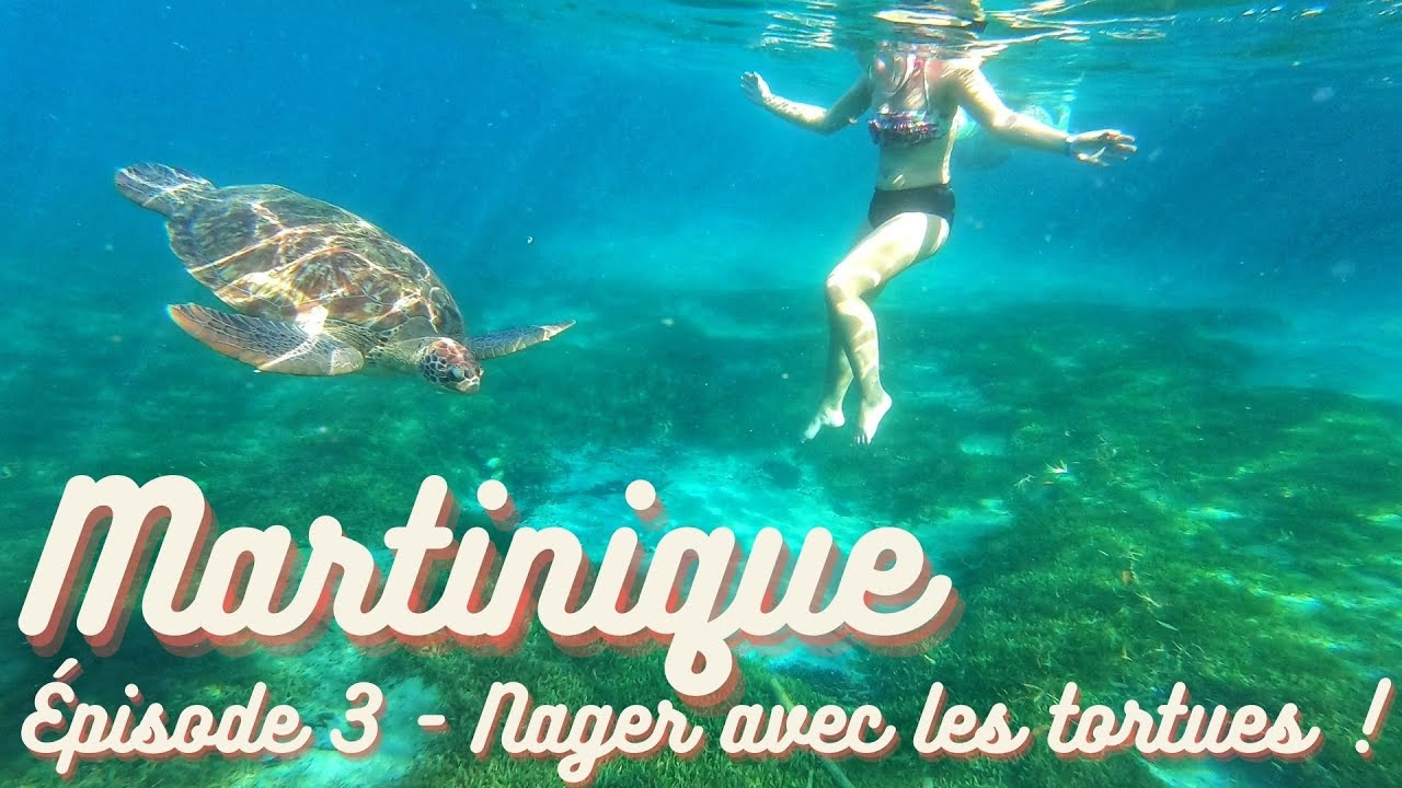 Voyage en Martinique - Épisode 3 : Nager avec les tortues ! - YouTube