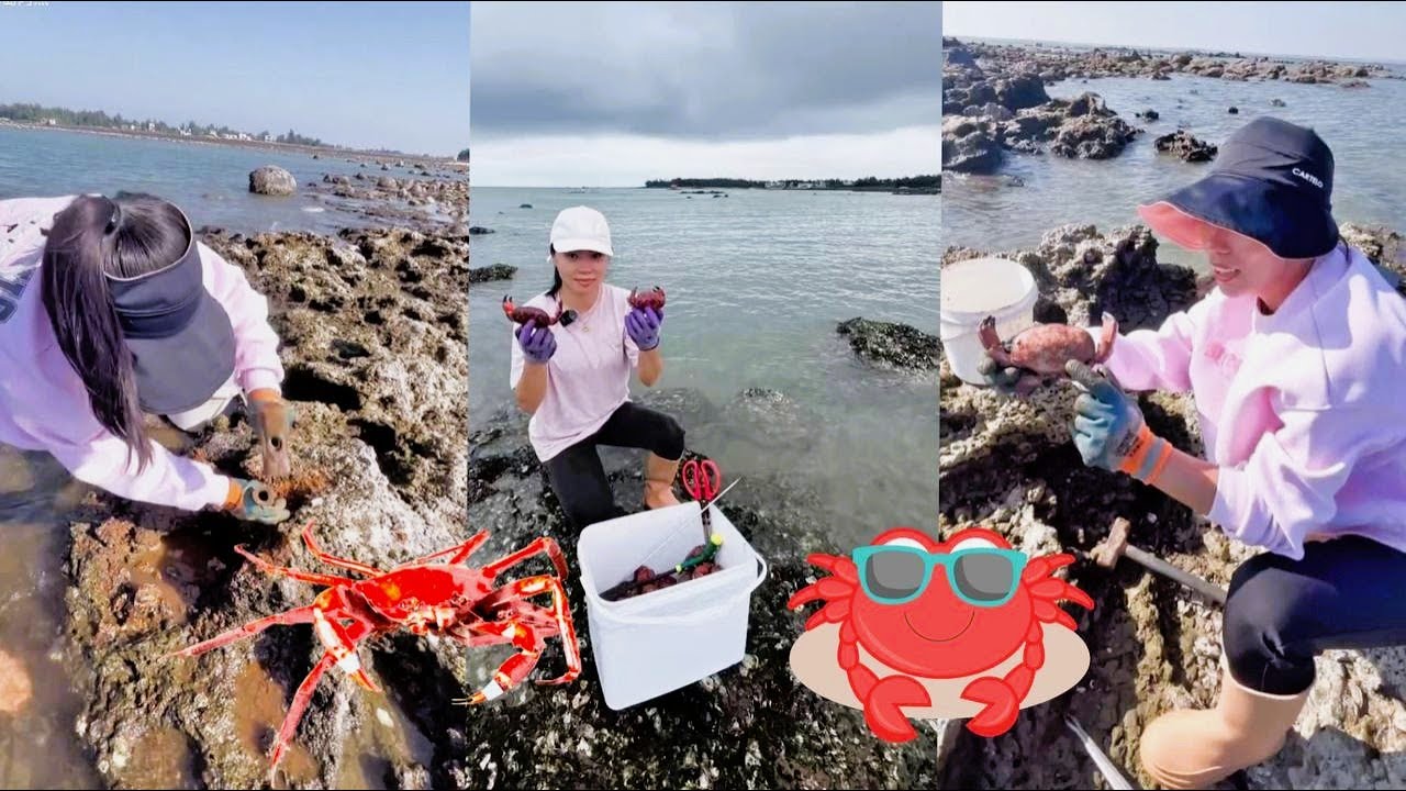Crab catching video Deep sea crab fishing #crab #fishing #catching # ...