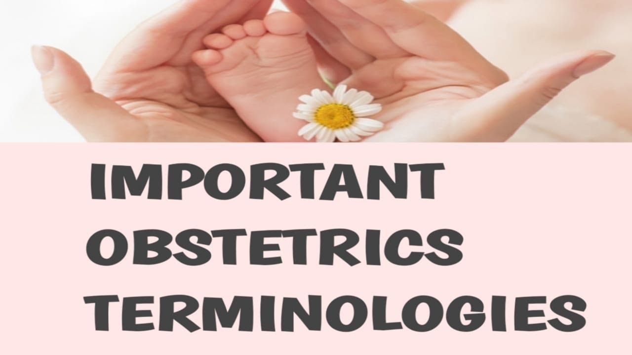 Basic terminologies of obstetrics - YouTube
