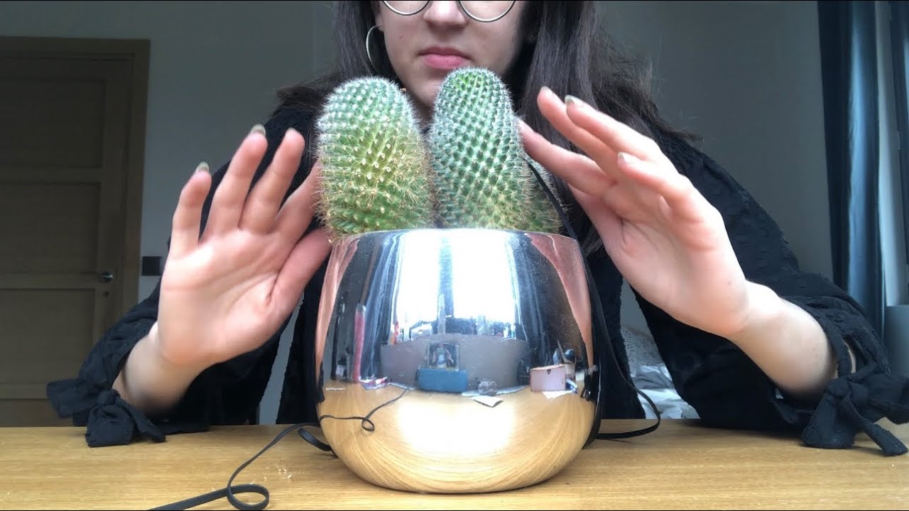 CACTUS ASMR 🌵 // unusually tingly (i got a splinter for this video👌 ...