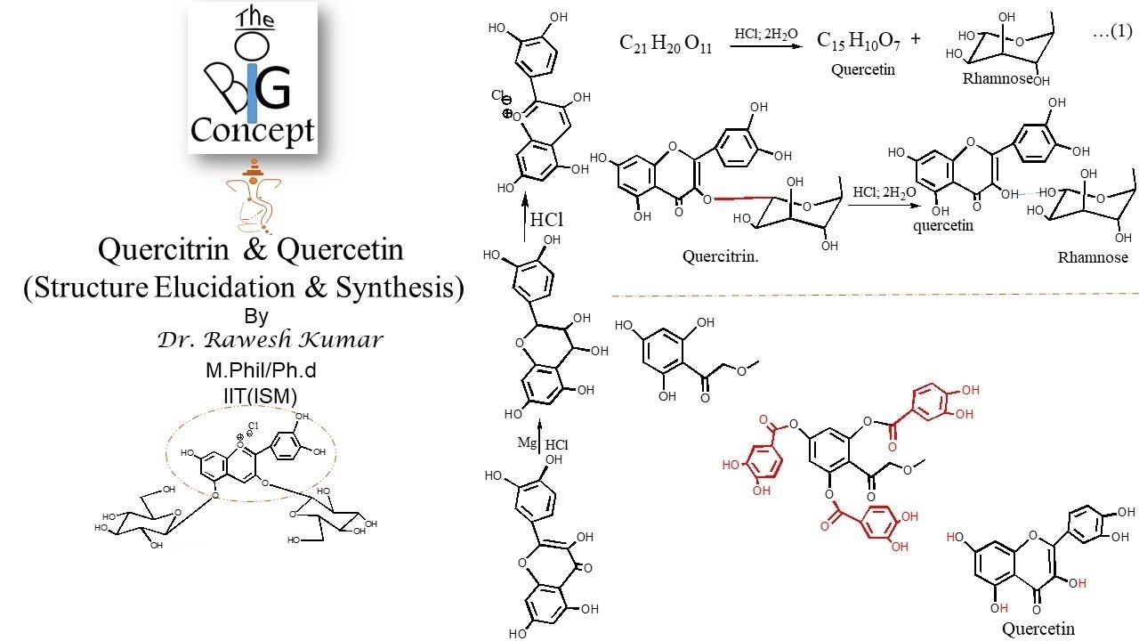 Quercitrin & Quercetin (Structure elucidation and Synthesis ...