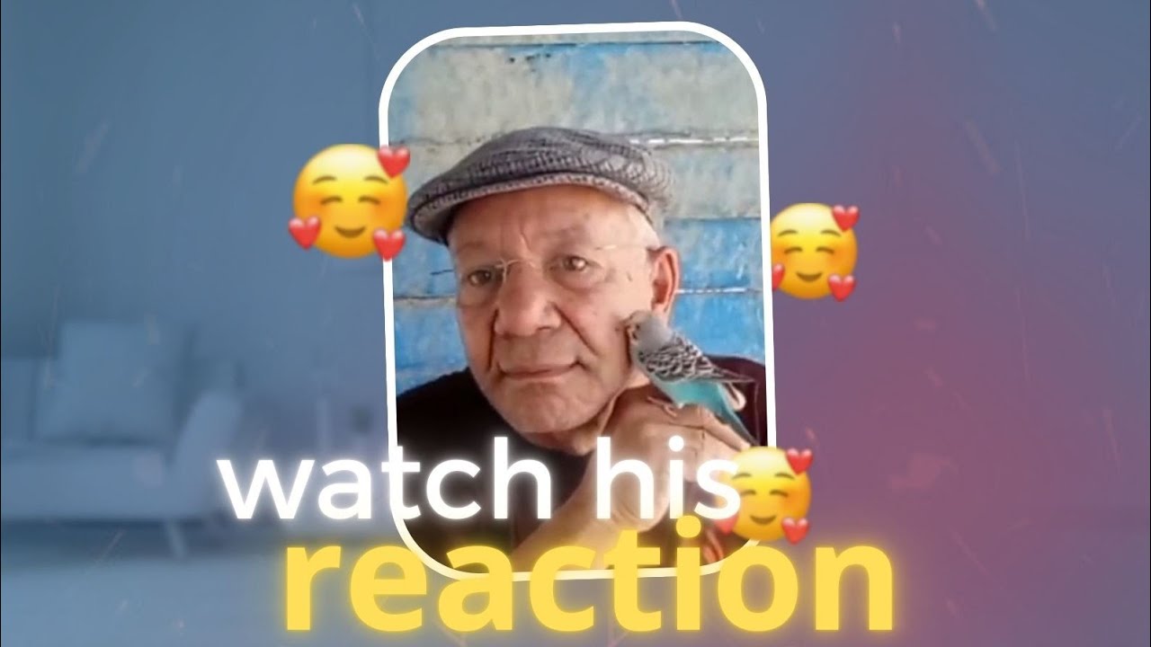i finally met my bird After a long time🐦💕watch his reaction🥰 - YouTube