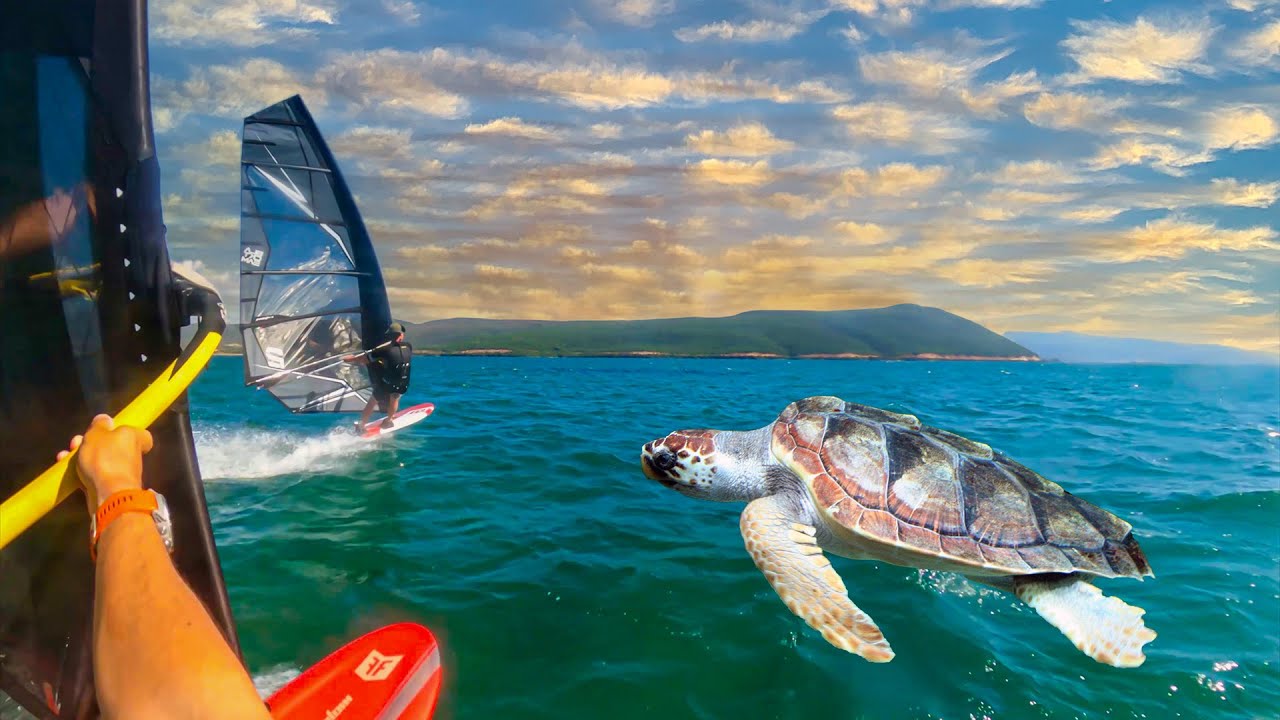 We went SLALOM WINDSURFING in between TURTLES and fishernets - YouTube