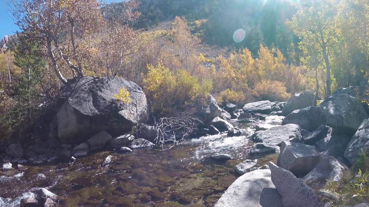 Bishop Fall Colors - YouTube