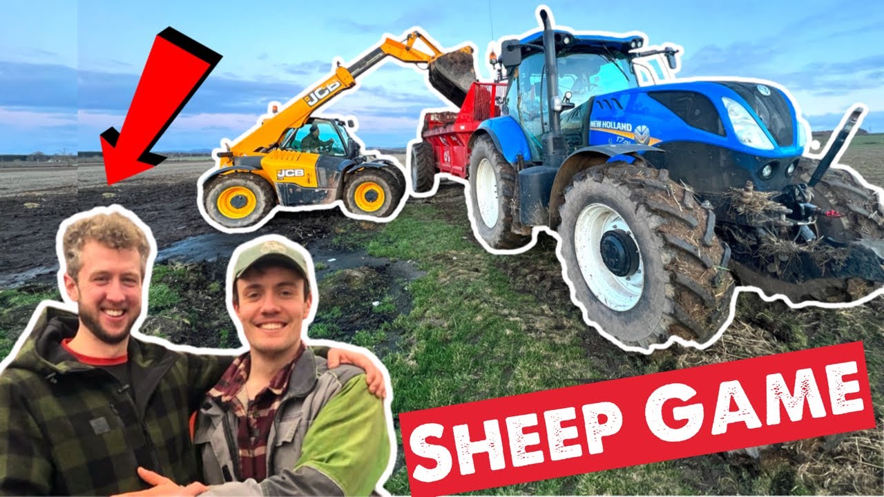 Sheep Farmer Vs A Tractor - YouTube
