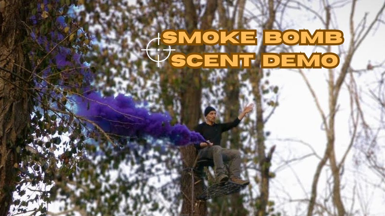 DEMONSTRATING HOW YOUR SCENT TRAVELS THROUGH THE TERRAIN [While using a ...