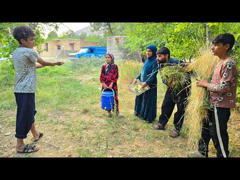 Hard Life in the Zagros Mountains 🏔️ | A New Job Changes Everything