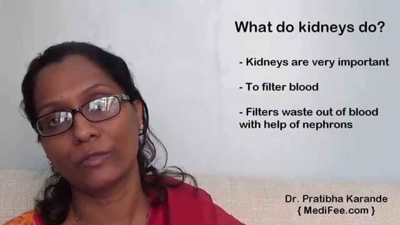 Renal Profile Routine Kidney Function Blood Tests YouTube renal-profile-routine-kidney-function-blood-tests-youtube
