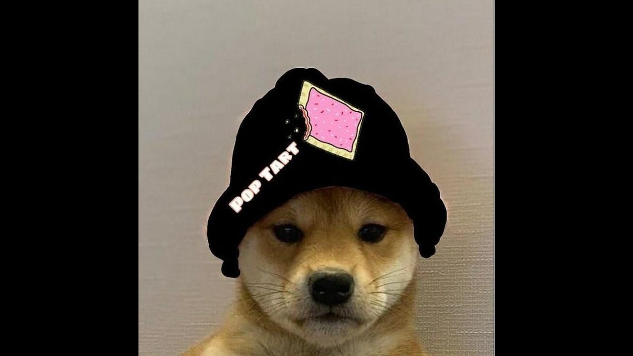 Haciendo el avatar del Doge en roblox :) - YouTube