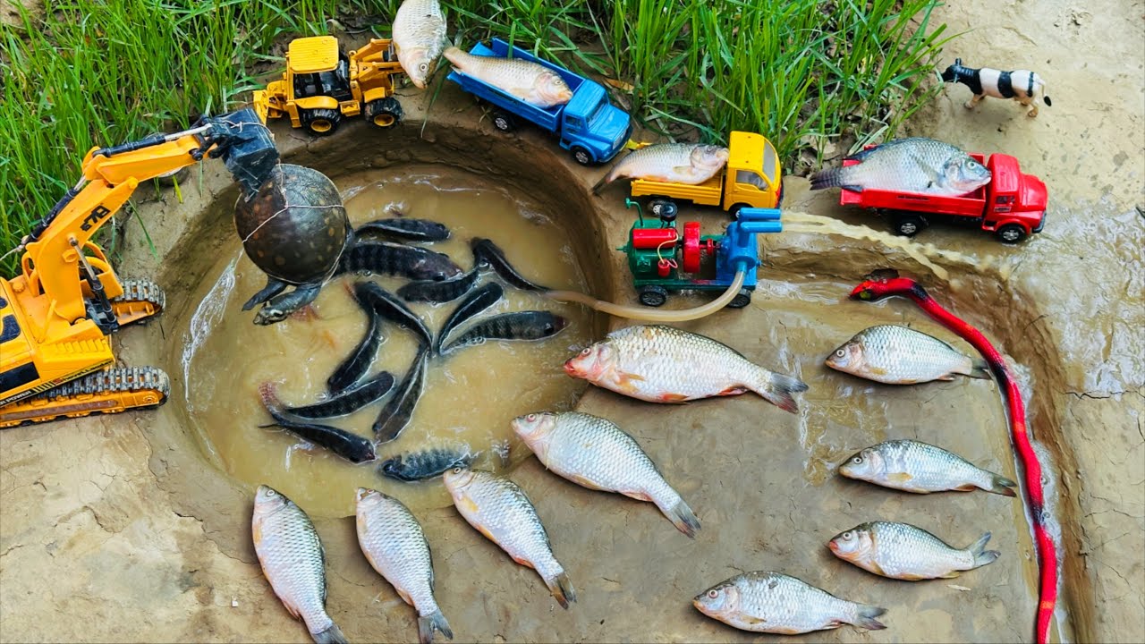 Catch fish using mini water pump and Kubota RD 85 diesel engine ...