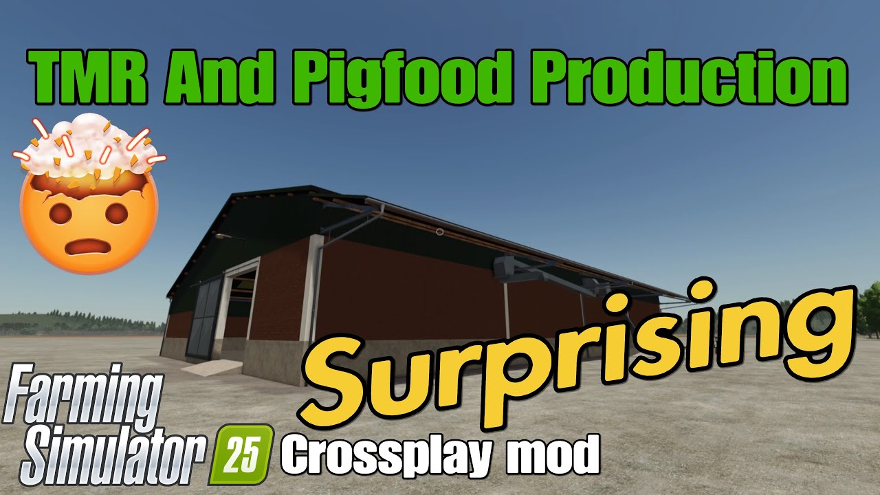TMR And Pigfood Production / FS25 crossplay mod - YouTube