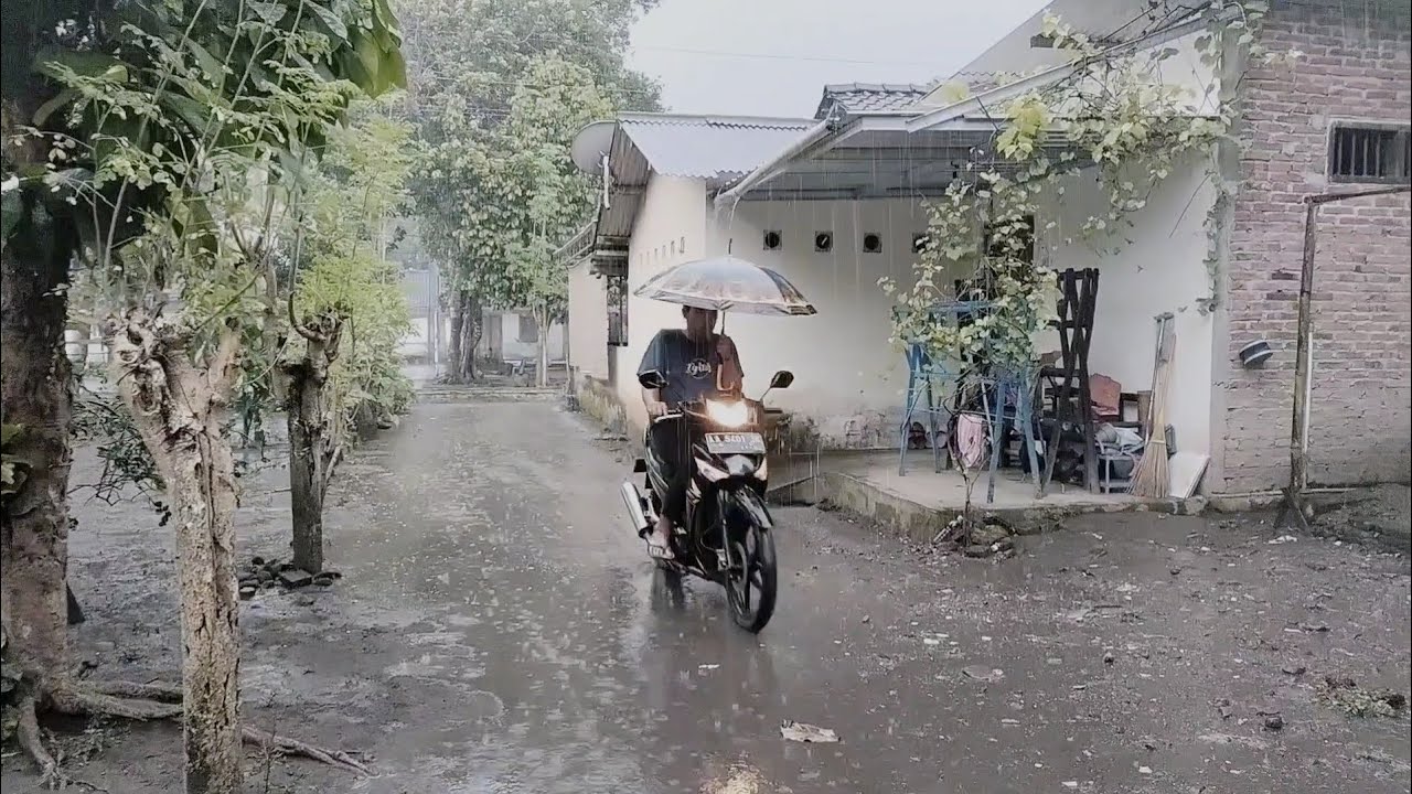 Walking in the Rain ~ Heavy Rain in the Countryside of Central Java ~ Rain Sound for Sleeping ...