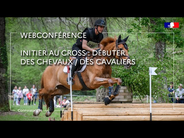 Chevaux Sautant En Cross Country VEDÈNE UN CONCOURS COMPLET