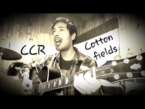 Cotton fields - Creedence Clearwater Revival - Cover - YouTube