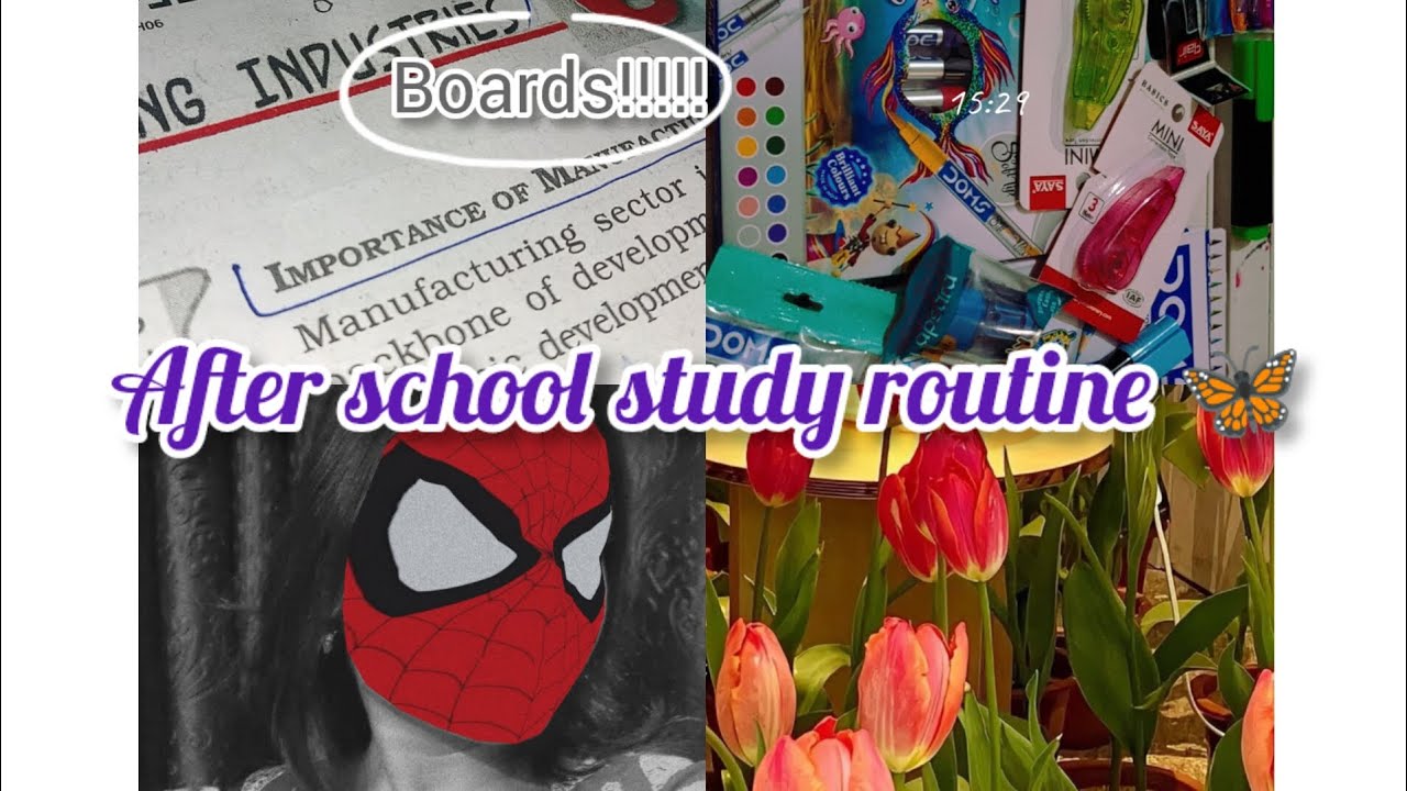 After school study routine 🫧 as a cbse 10th grader ☄️study vlog # ...