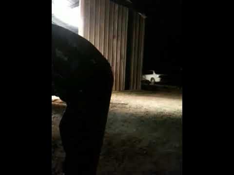 Exploding fart - YouTube