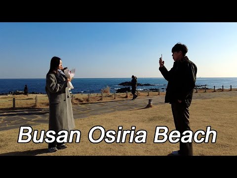 【SEOUL KOREA】🇰🇷 Busan Osiria Coastal Trail Walking Tour - YouTube