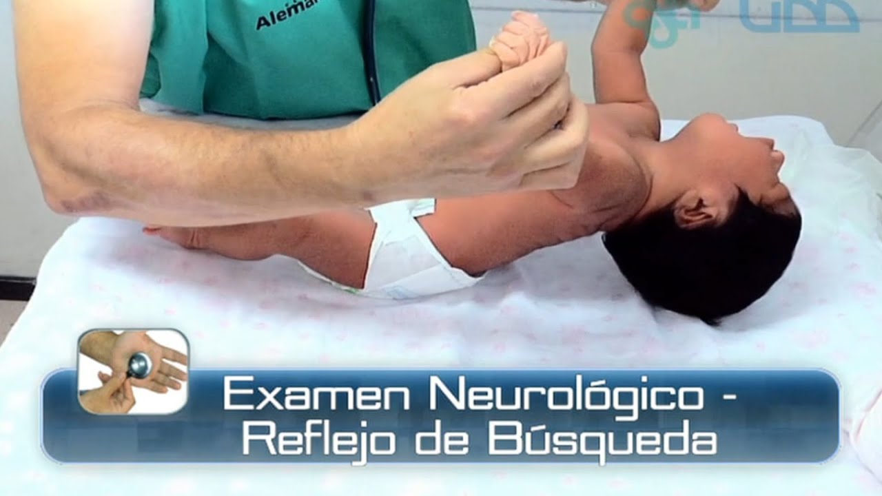 🌟REFLEJO DE BÚSQUEDA DEL RECIÉN NACIDO🌟 - YouTube