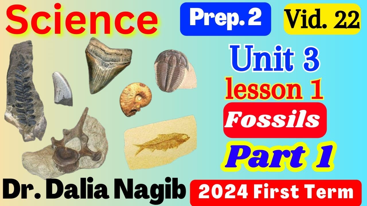 Science Prep 2 Unit 3 lesson 1 Fossils Part 1 2024 ساينس تانية اعدادي ...