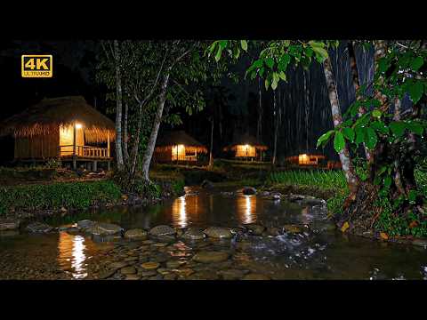 Orman Köyünde Yağmurlu Bir Gece, Derin Uyku, Yağmur Sesleri