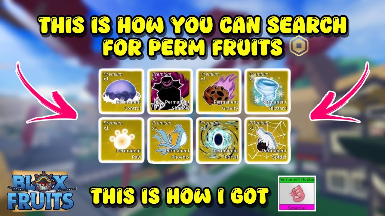 OMG ... I GOT PERM RUBBER IN BLOX FRUITS! & FASTEST WAY TO FIND PERMS ...
