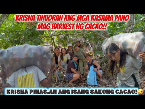 KRISNA PINAS.AN ANG ISANG SAKONG CACAO#pekengkoreana #buhayprobinsya #vlog 
