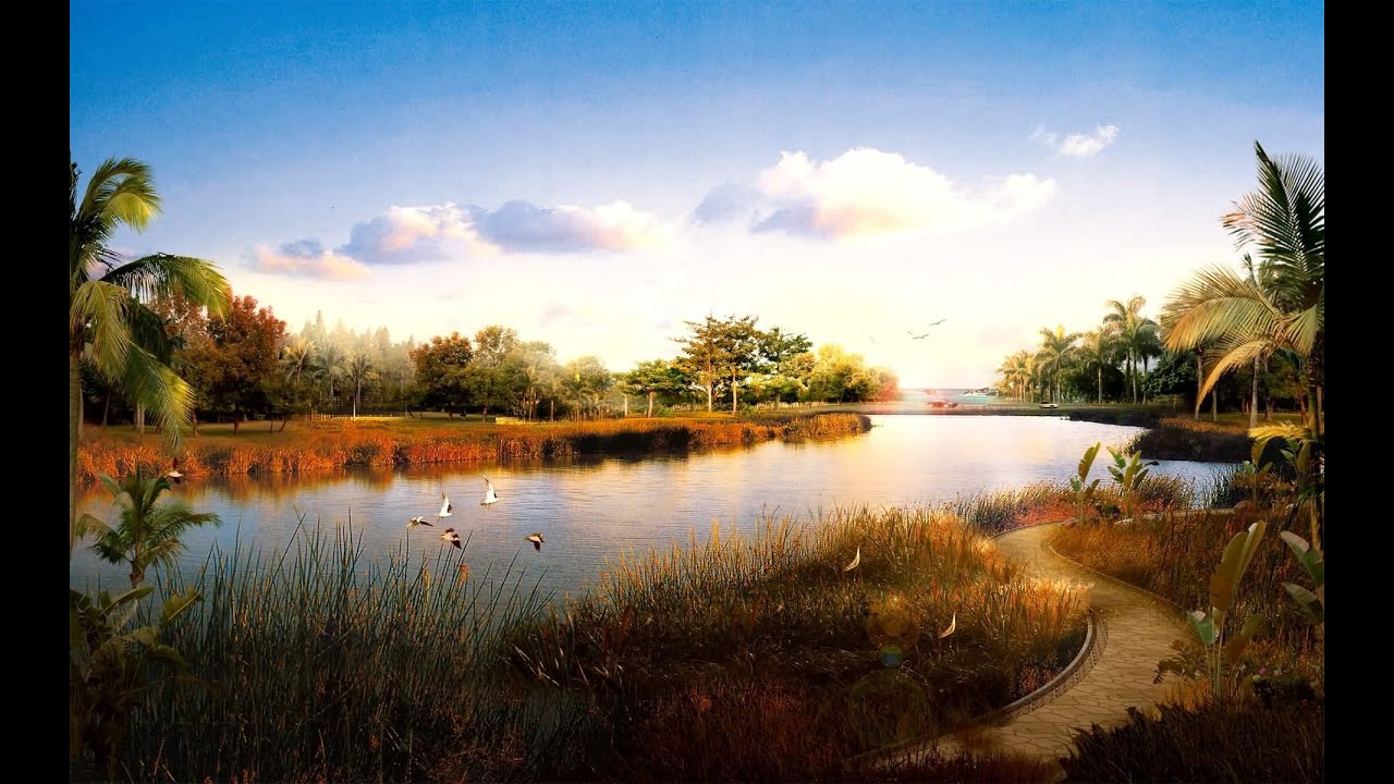 Nature Sound Effects : Wind-Birds - YouTube