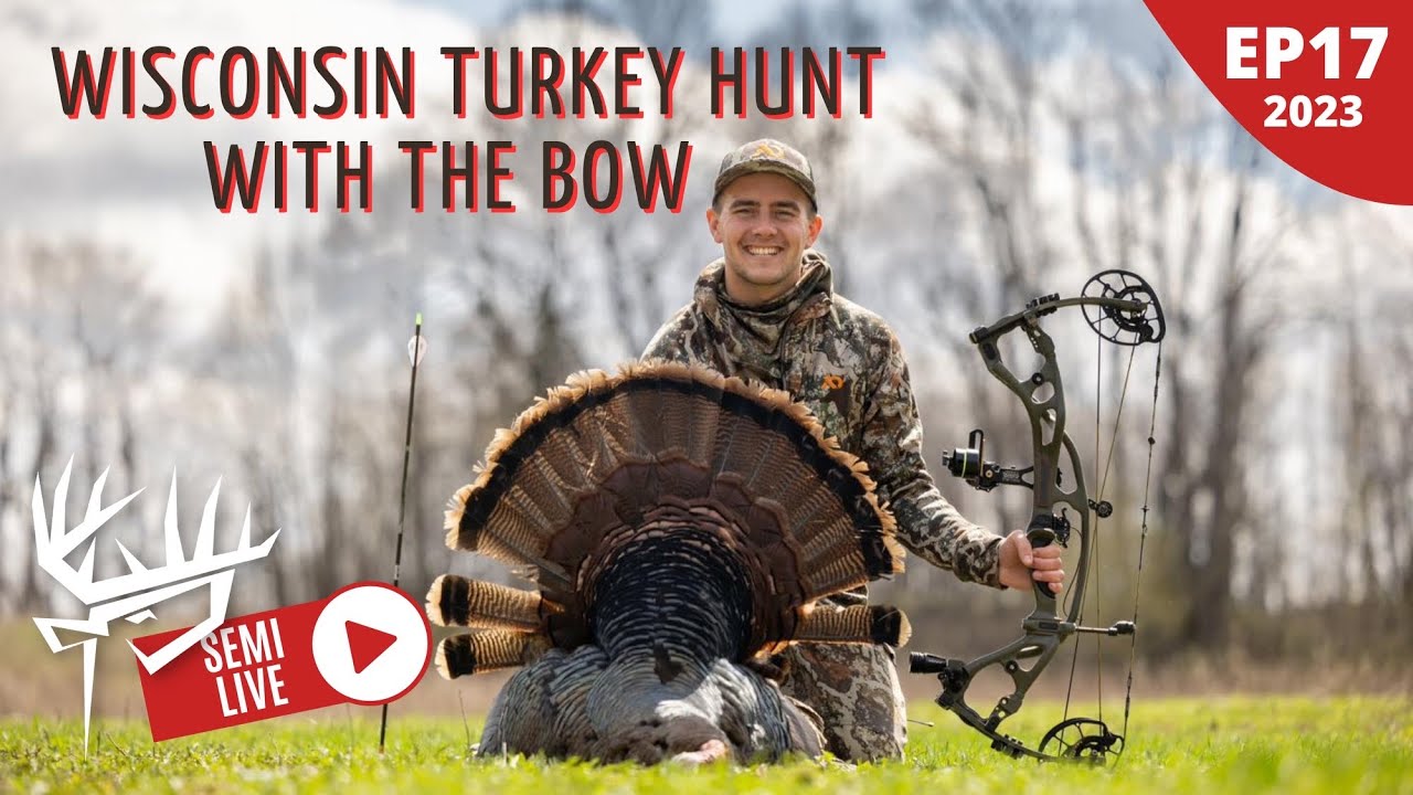 Wisconsin Turkey Hunt With The Bow - YouTube