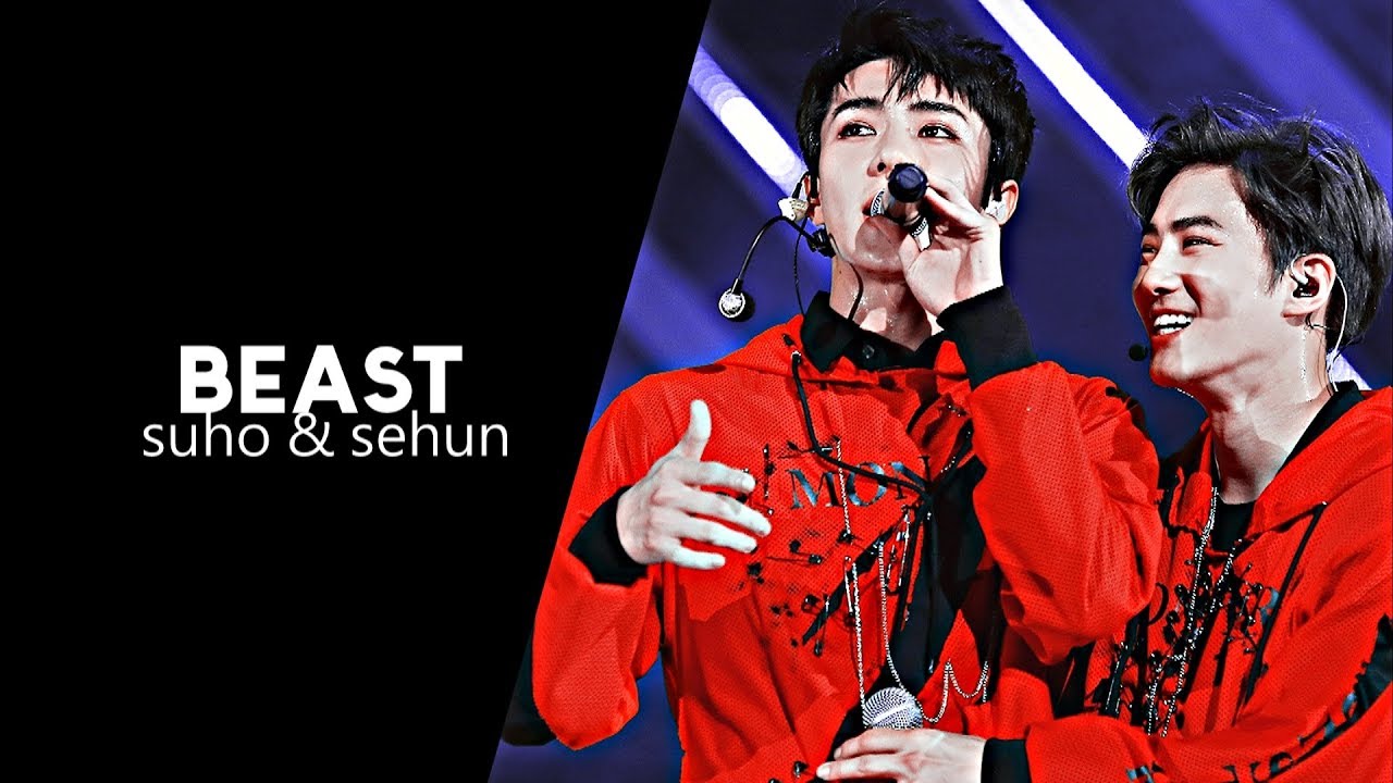 Beast || Suho & Sehun - YouTube