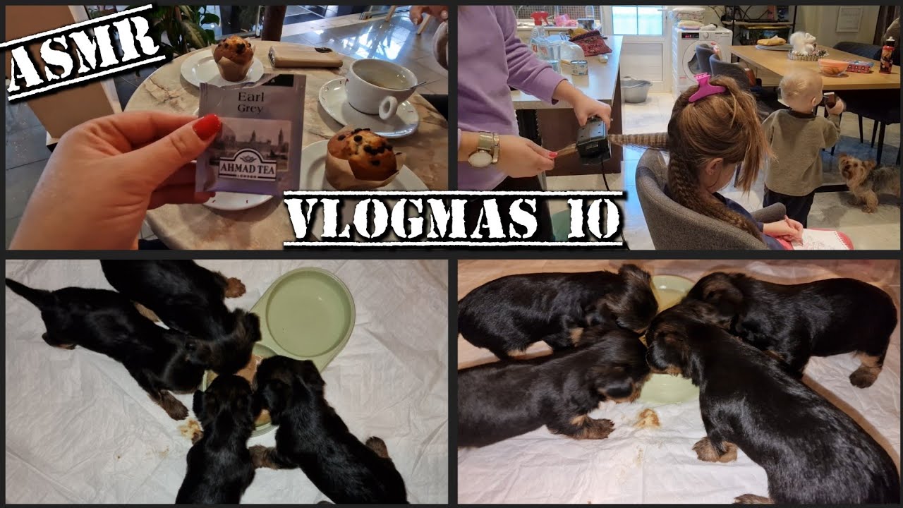 VLOGMAS 10|ΓΙΟΡΤΗ ΔΗΜΟΤΙΚΟΥ!|ΤΑ ΚΟΥΤΑΒΑΚΙΑ ΤΡΩΝΕ!|ΑΘΕΛΑ ΜΟΥ Asmr!|# ...