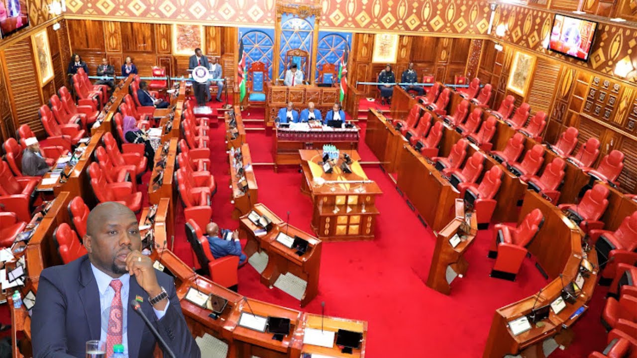 LIVE; FIREWORKS AS CS MURKOMEN APPEARS BEFORE THE SENATE! - YouTube