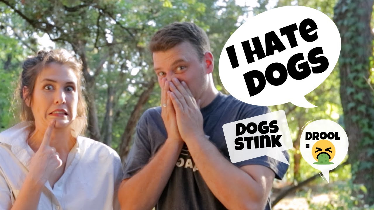 Dog HATERS be like...⎢Ed&Mel - YouTube