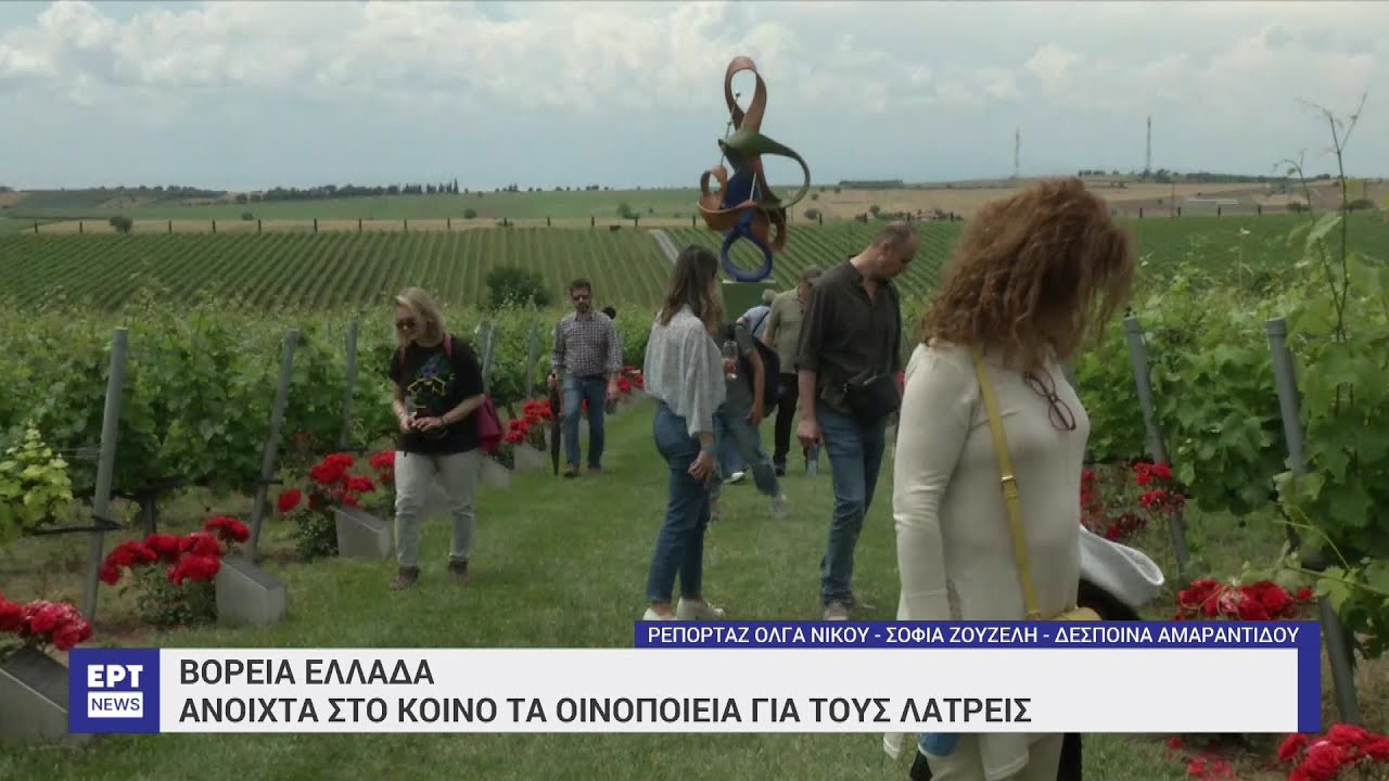 Ανοιχτά στο κοινό τα οινοποιεία για τους λάτρεις του κρασιού | 28/05 ...
