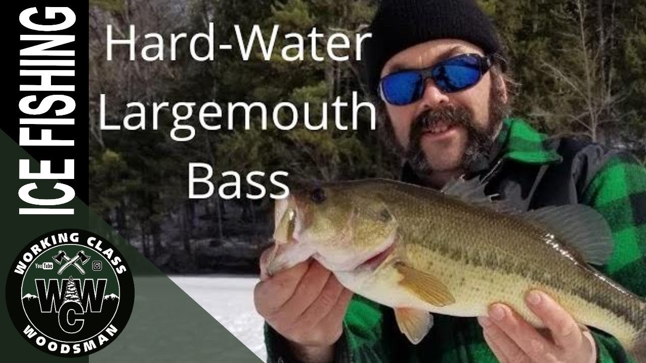 Hard-Water Largemouth Bass, late season fun. - YouTube
