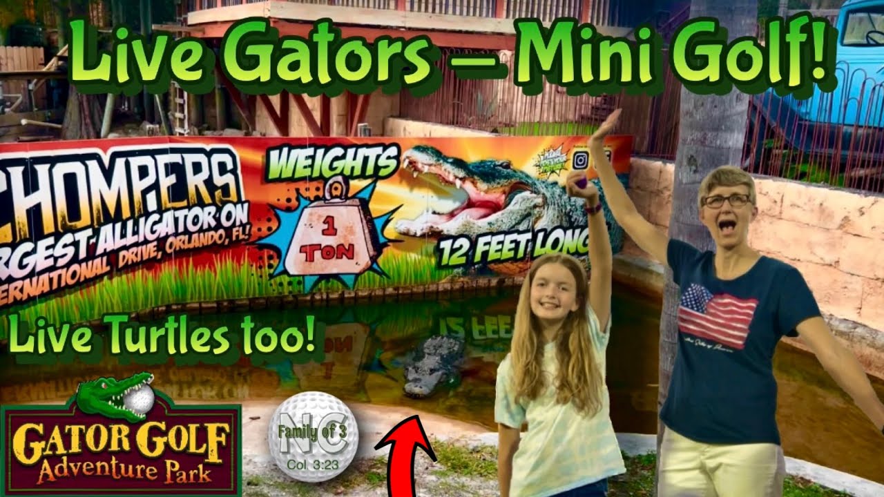 LIVE Gators 🐊 and Mini Golf! ⛳️ Live Large Turtles! 🐢 Life Like Bears ...