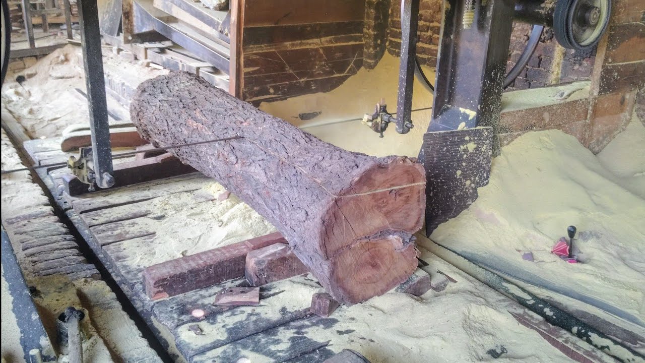 Sawing Logs by Trolley| Wood Cutting work | Sawmill machine work - YouTube