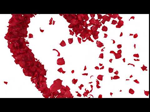 Love Rose 3 -  Kalp Gül Yaprağı 3