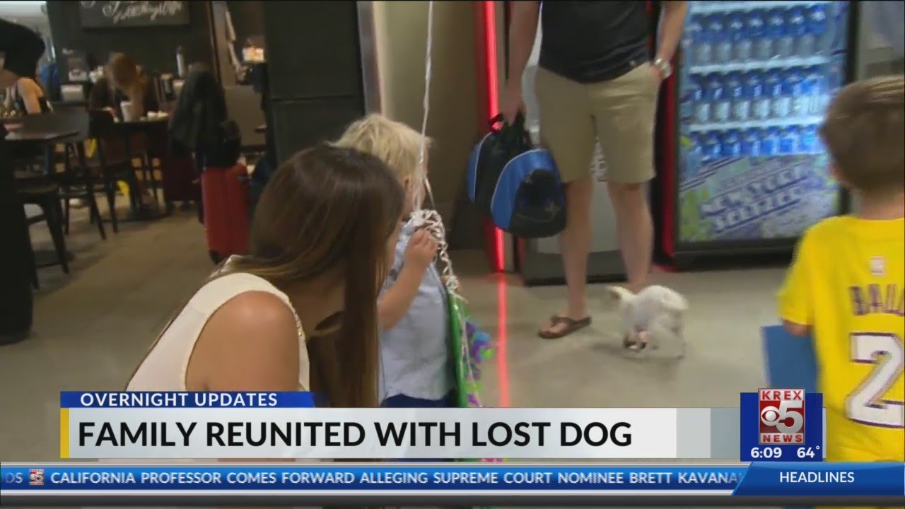 Family Reunited With Lost Dog - YouTube