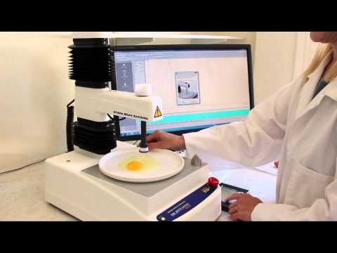 Egg Quality Testing - YouTube