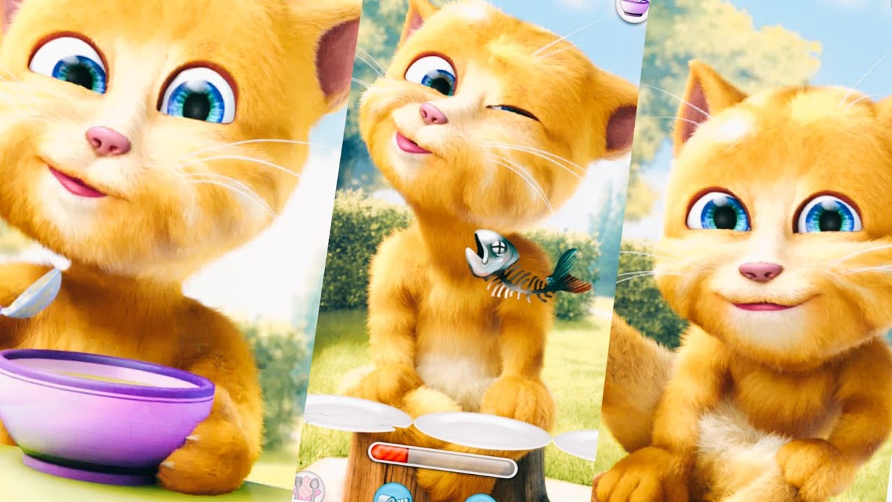 Talking Ginger 2🍎🍍🥭🥥🍑🍌🍏🥪🫔🍟🍔🍕🍋🍉🍓🍒🫐My talking Ginger 😺 🌮🧆🍆 Funny Ginger🍊🍈 ...