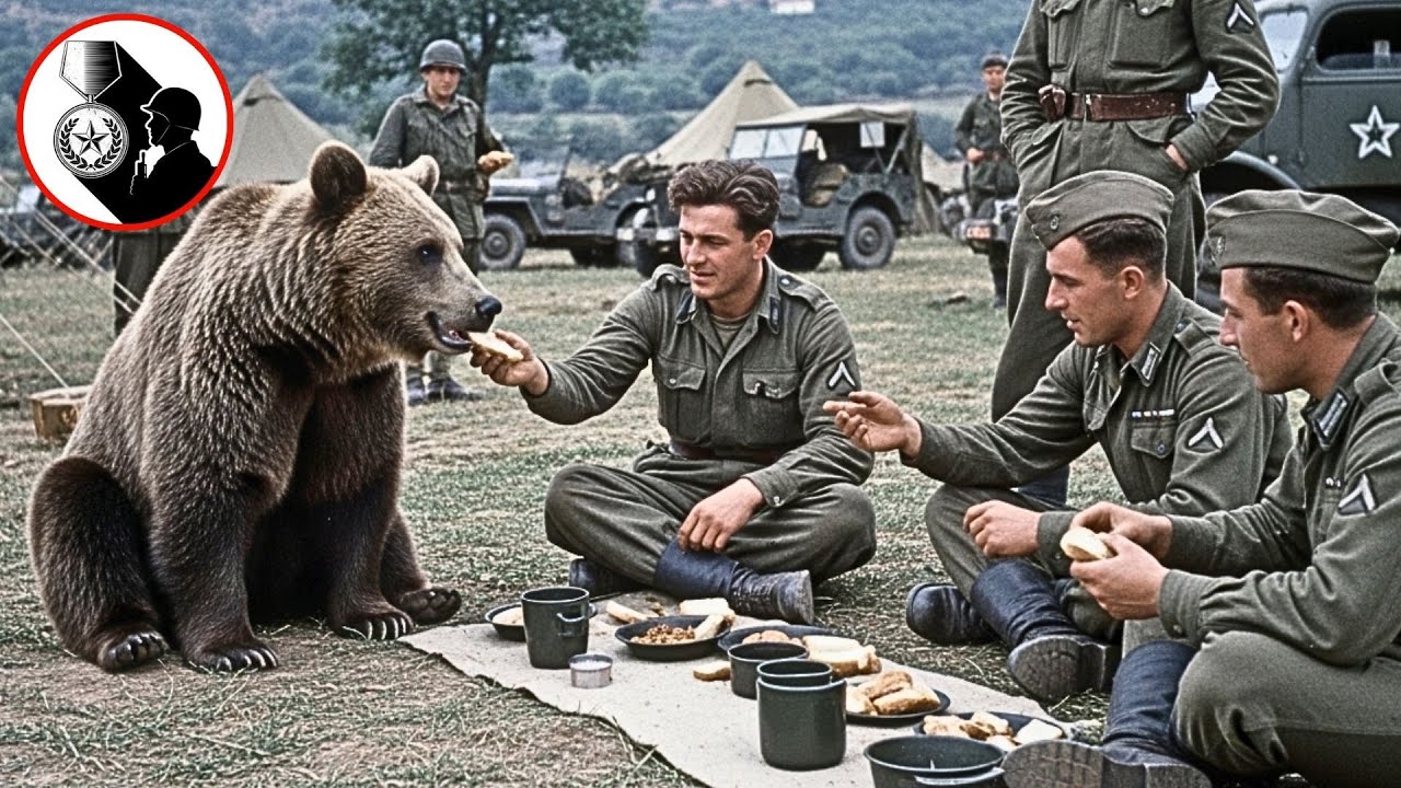 The Polish Soldier Who Adopted a Bear That Became an Army Corporal ...