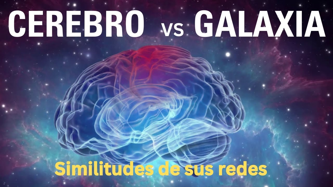 Lo cósmico en lo cerebral. Los paralelos del universo y el cerebro ...
