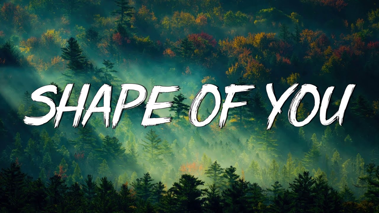 Ed Sheeran - Shape Of You (Lyrics) - I’m In Love In The Shape Of You ...
