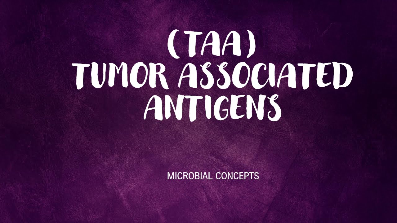 Tumor associated antigen (TAA) | Cancer Immunology - YouTube