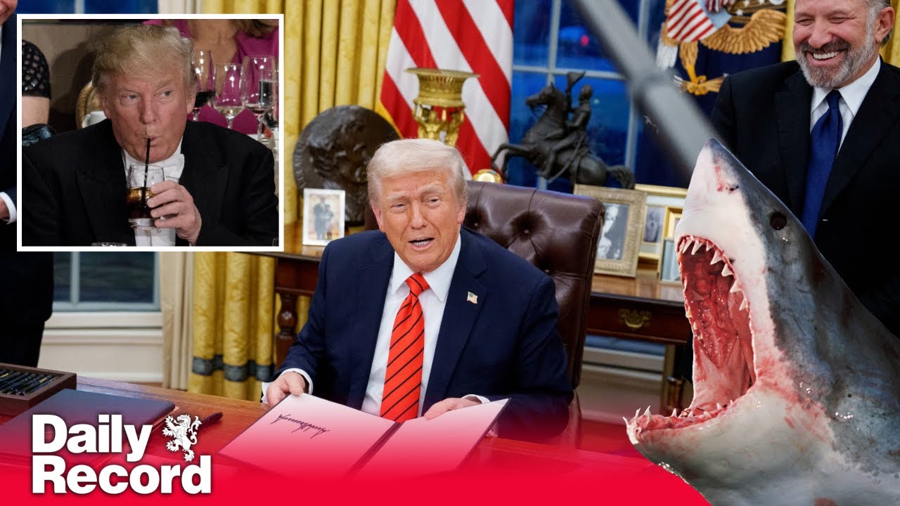 Donald Trump claims plastic straws won't affect sharks 'as they munch ...