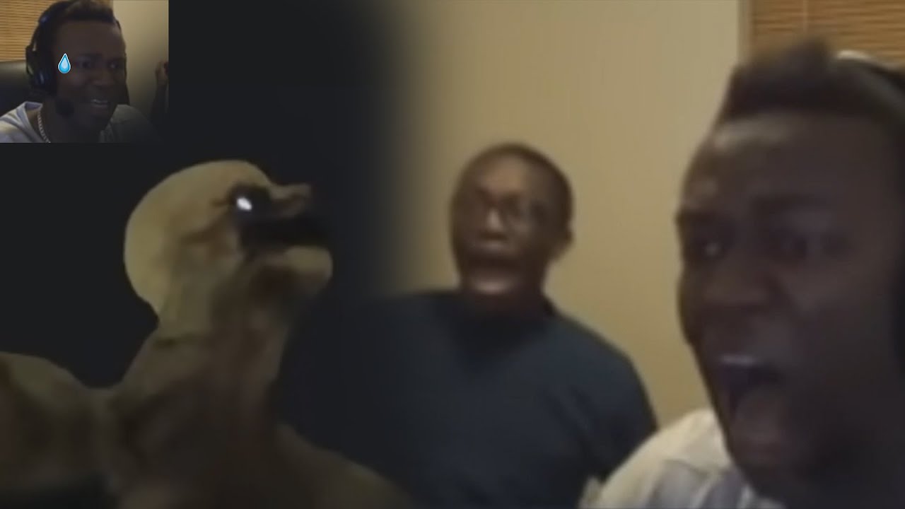 KSI plays Erie & screams for 7 mins (with edits) - YouTube